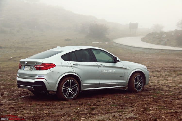 Comparativa: BMW X4 vs. BMW X6 ¿Cuál de los dos hermanos es el favorito?