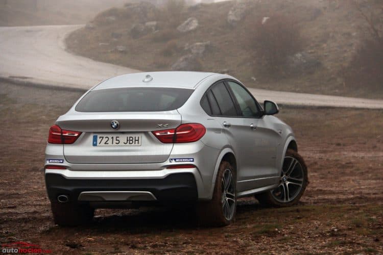 Comparativa: BMW X4 vs. BMW X6 ¿Cuál de los dos hermanos es el favorito?