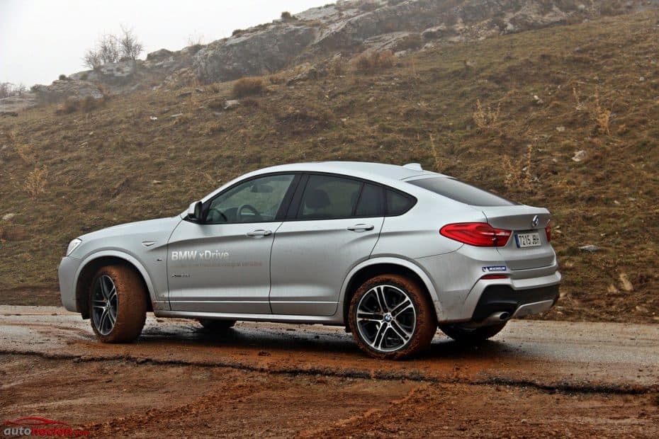Comparativa: BMW X4 vs. BMW X6 ¿Cuál de los dos hermanos es el favorito?