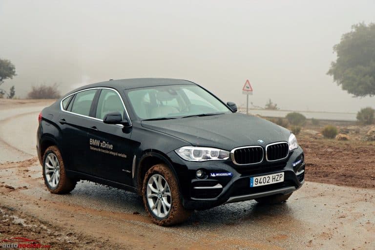 Comparativa: BMW X4 vs. BMW X6 ¿Cuál de los dos hermanos es el favorito?