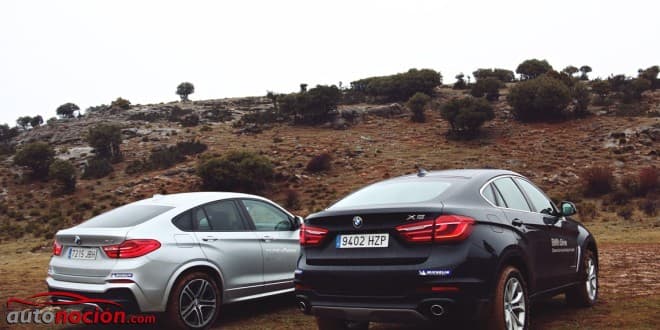 Comparativa: BMW X4 vs. BMW X6 ¿Cuál de los dos hermanos es el favorito?