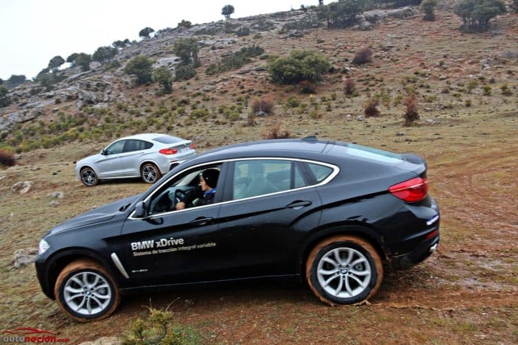 Comparativa: BMW X4 vs. BMW X6 ¿Cuál de los dos hermanos es el favorito?