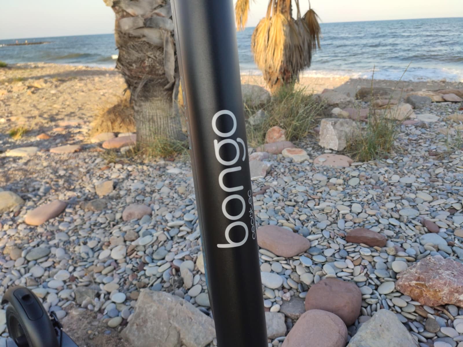 Prueba Bongo Serie A Advance Connected Max: hasta 45 km de autonomía ...