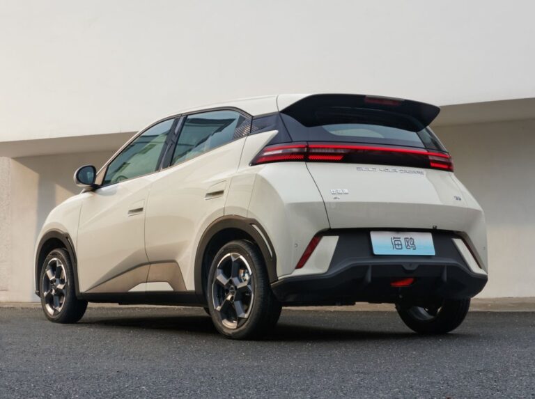 BYD Dolphin Surf, así se denominará el futuro súper-ventas